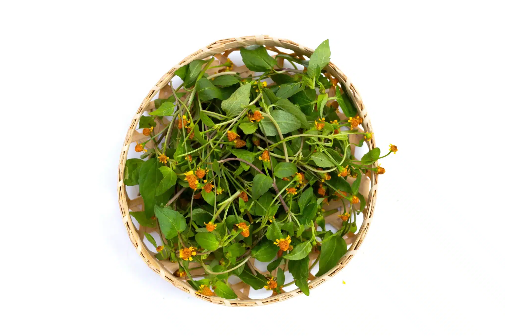 100 Foods That Start With J - The Coconut Mama