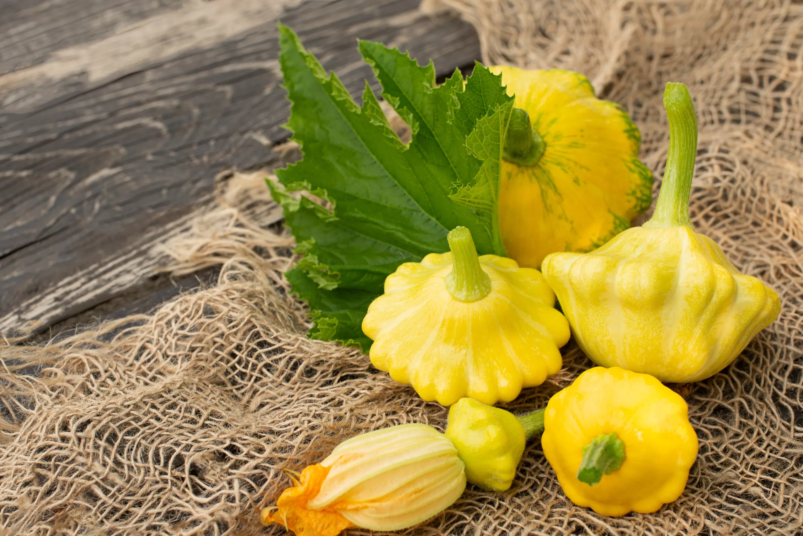 100 Foods That Start With P (Alphabetized & Explained) - The Coconut Mama