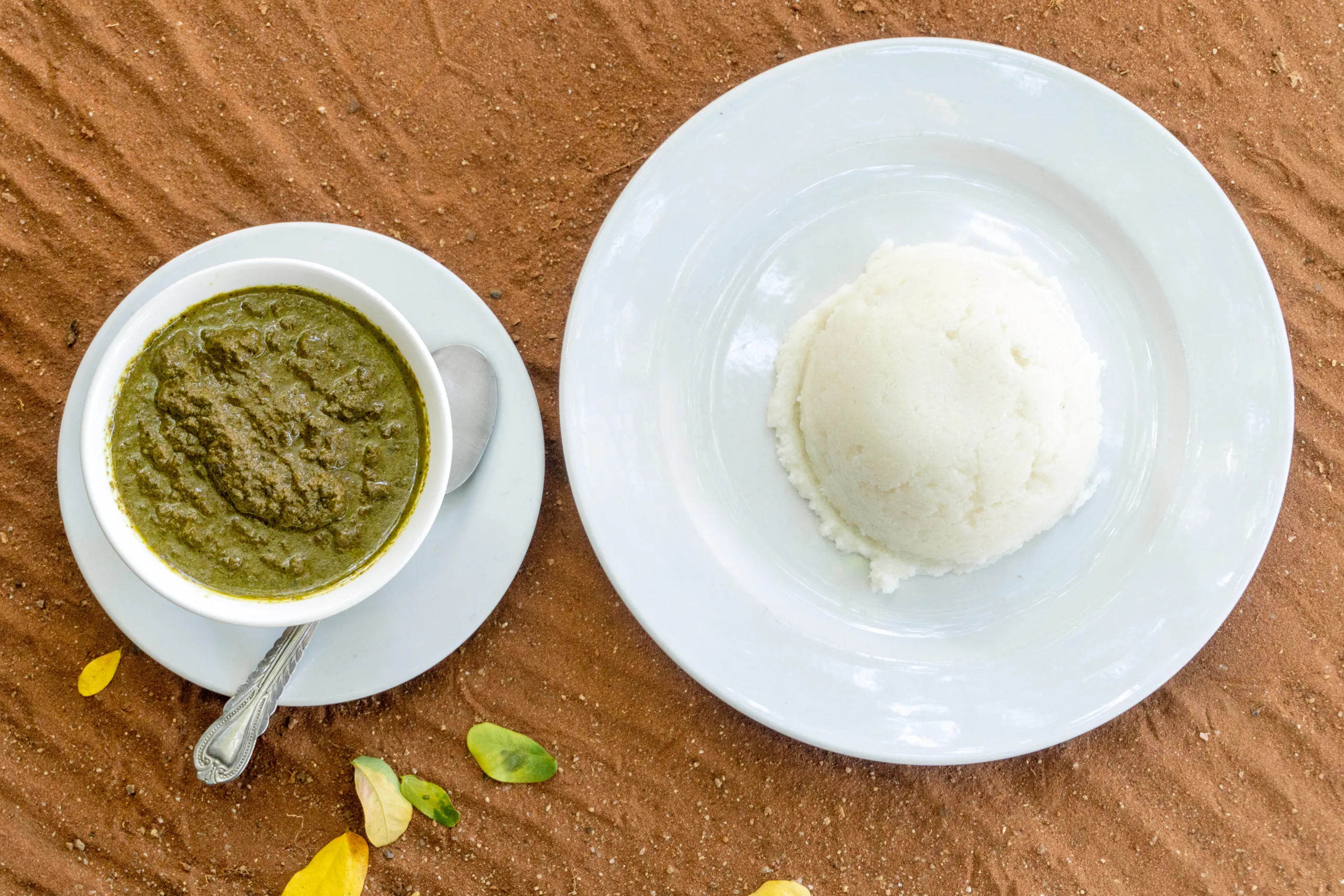 Foods That Start With X (Alphabetized & Explained) - The Coconut Mama