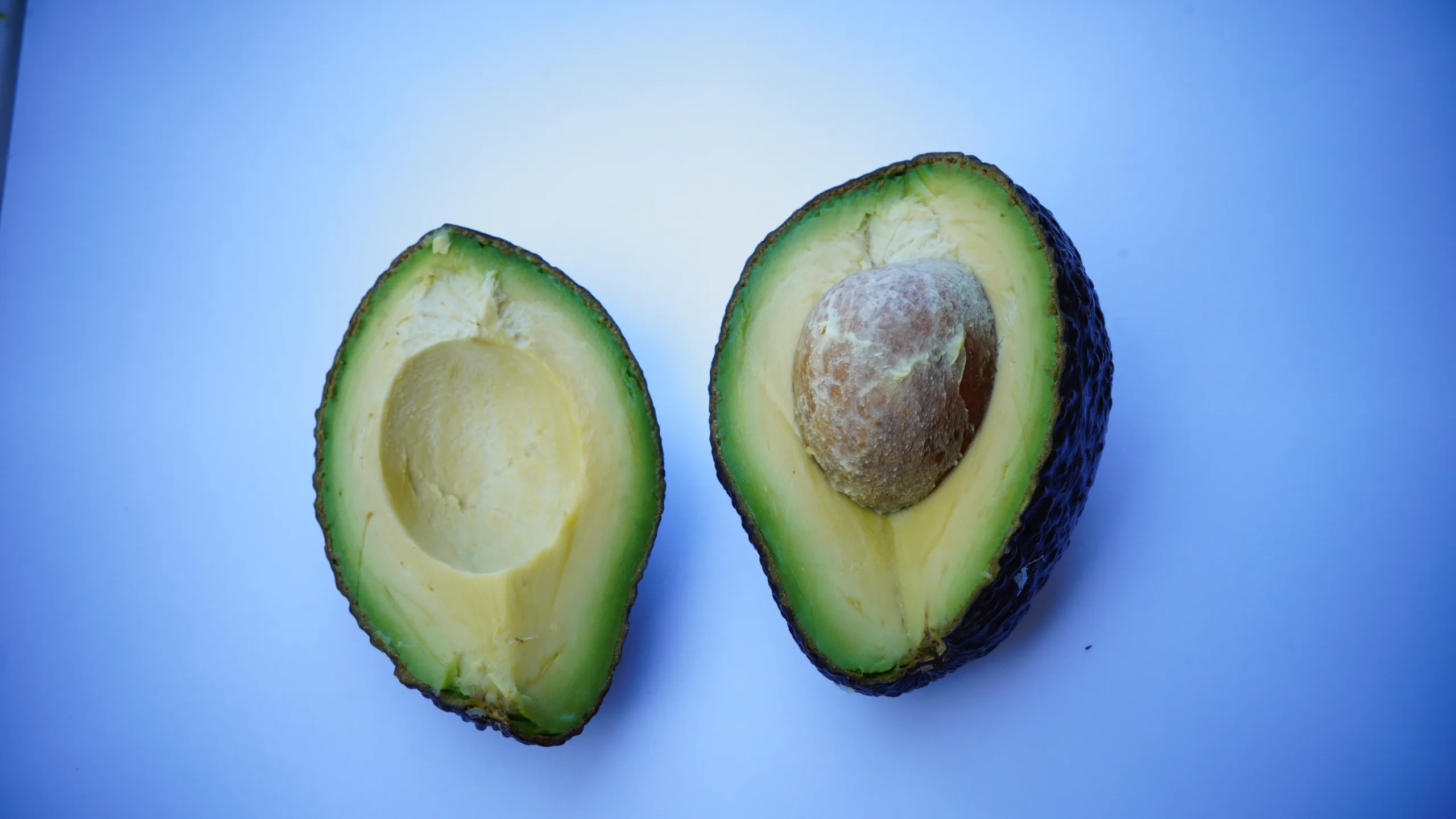 100 Foods That Start With Z (Alphabetized & Explained) - The Coconut Mama