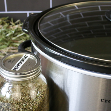 How To Make Peppermint Oil - The Coconut Mama