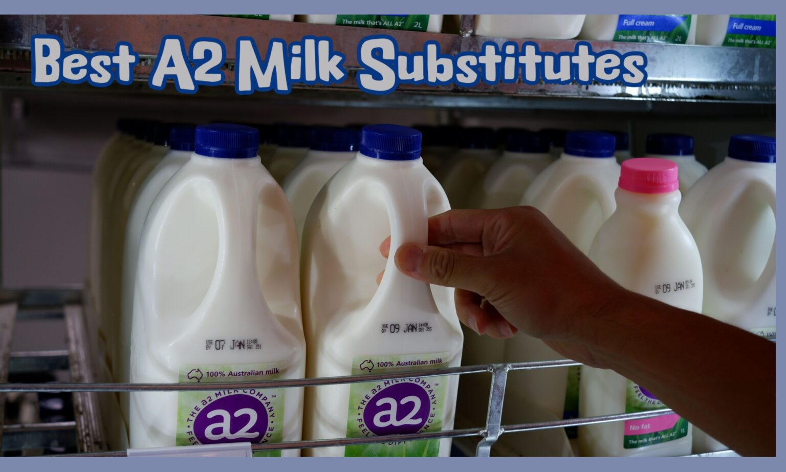 7 Best A2 Milk Substitutes - The Coconut Mama