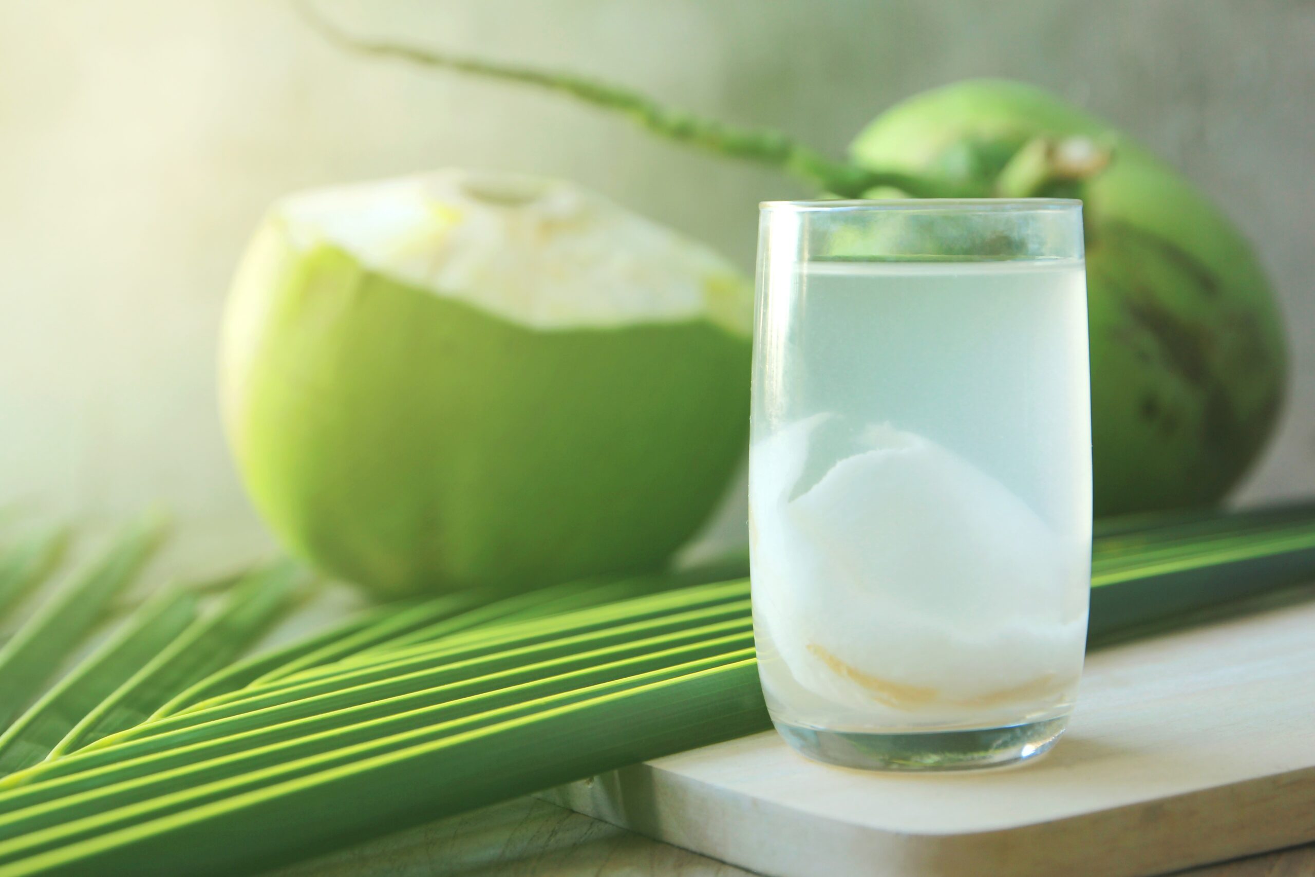 White Drinks Listed With Pictures Facts The Coconut Mama White Drinks Listed With Pictures Facts The Coconut Mama