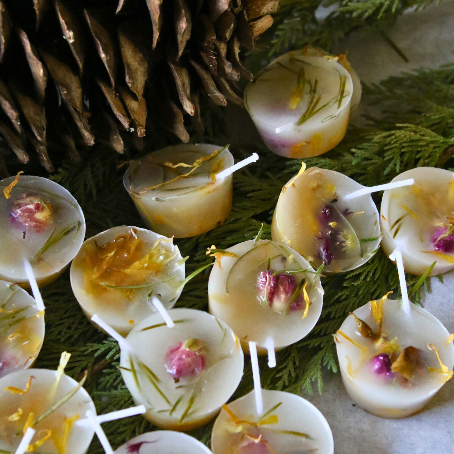 DIY Fire Starters - The Coconut Mama