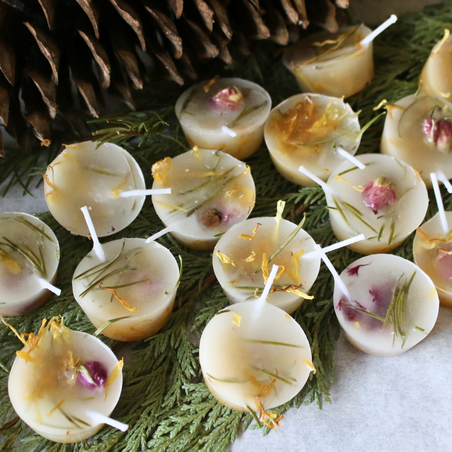 DIY Fire Starters - The Coconut Mama