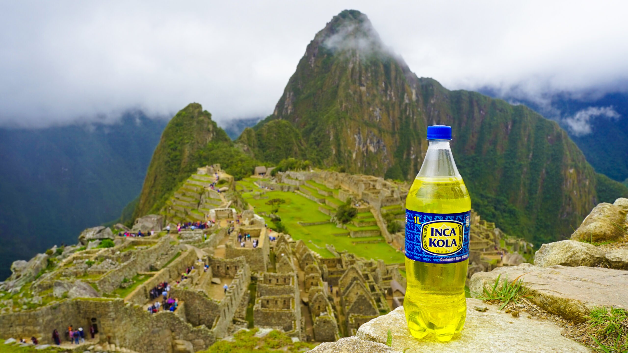 Drinks That Start With I (Listed with Pictures, Facts) - The Coconut Mama