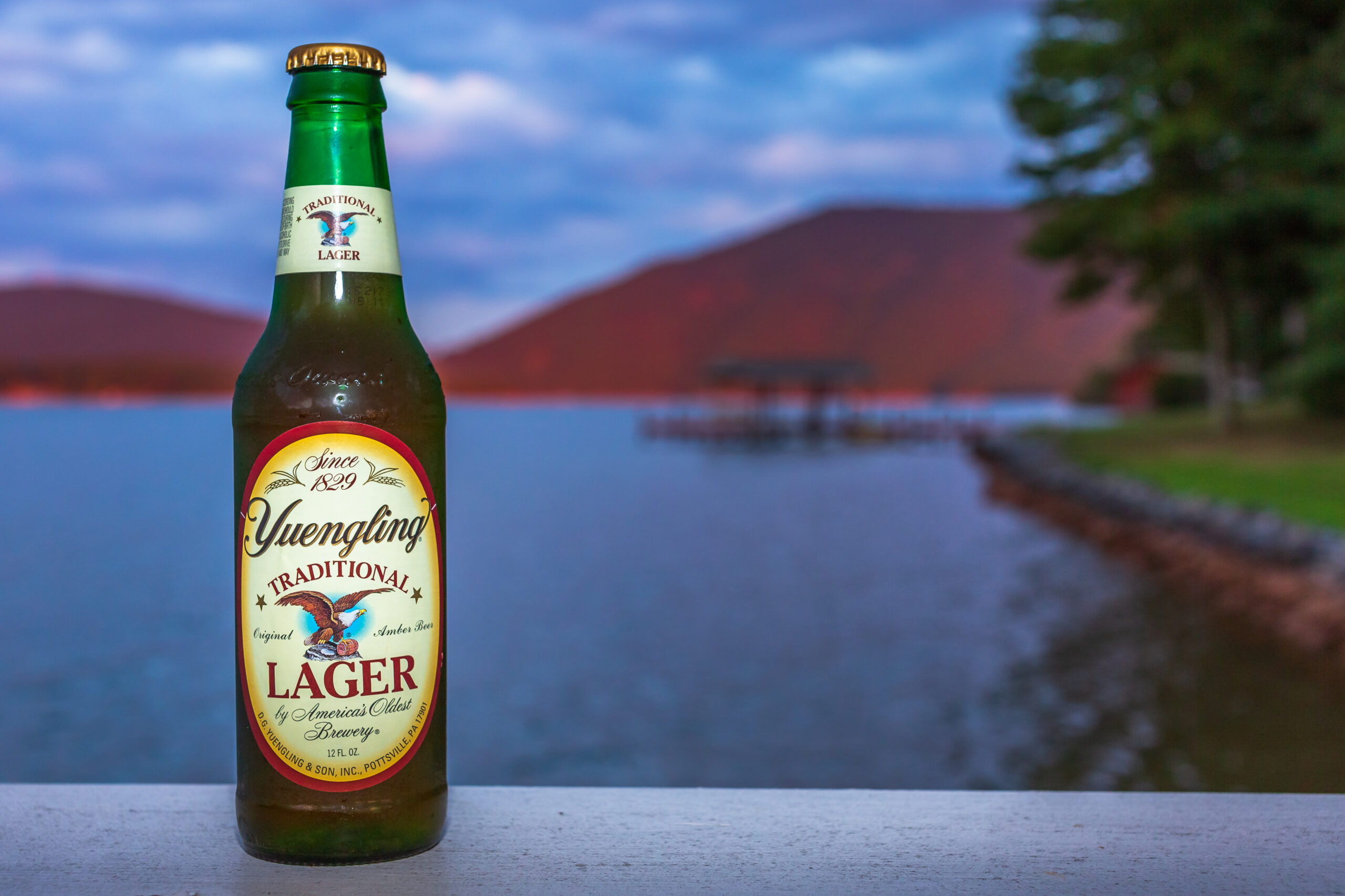 Forget Bud Light, Here Are 10 Better Everyday Beers - The Coconut Mama