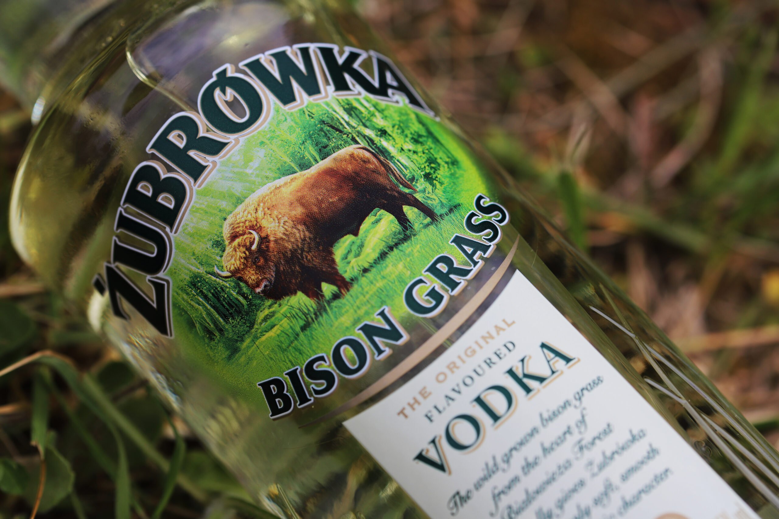 Drinks That Start With Z (Listed with Pictures, Facts) - The Coconut Mama