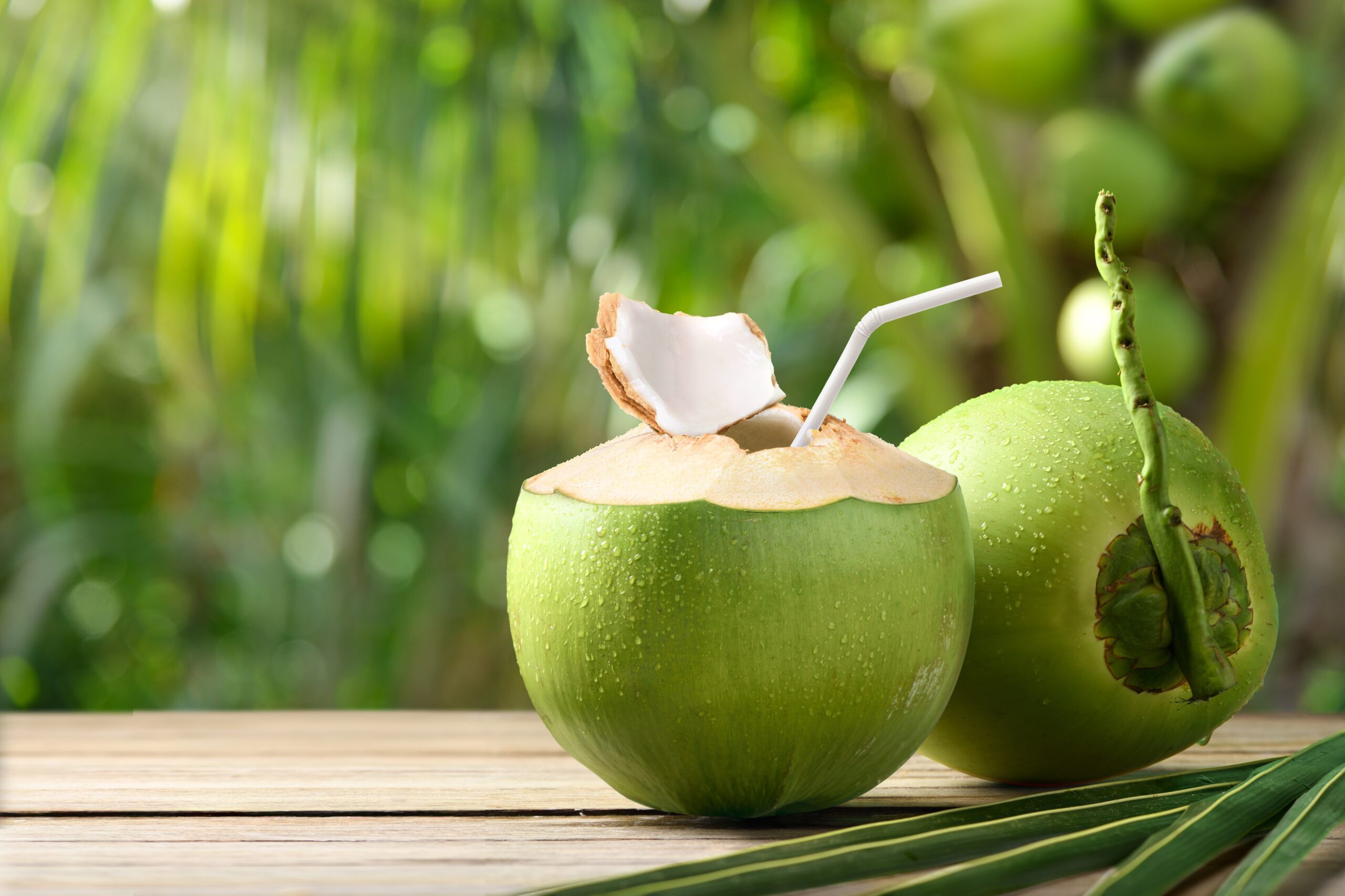 Drinks That Start With Y (Listed with Pictures, Facts) - The Coconut Mama