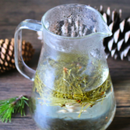 Pine Needle Tea Recipe - The Coconut Mama