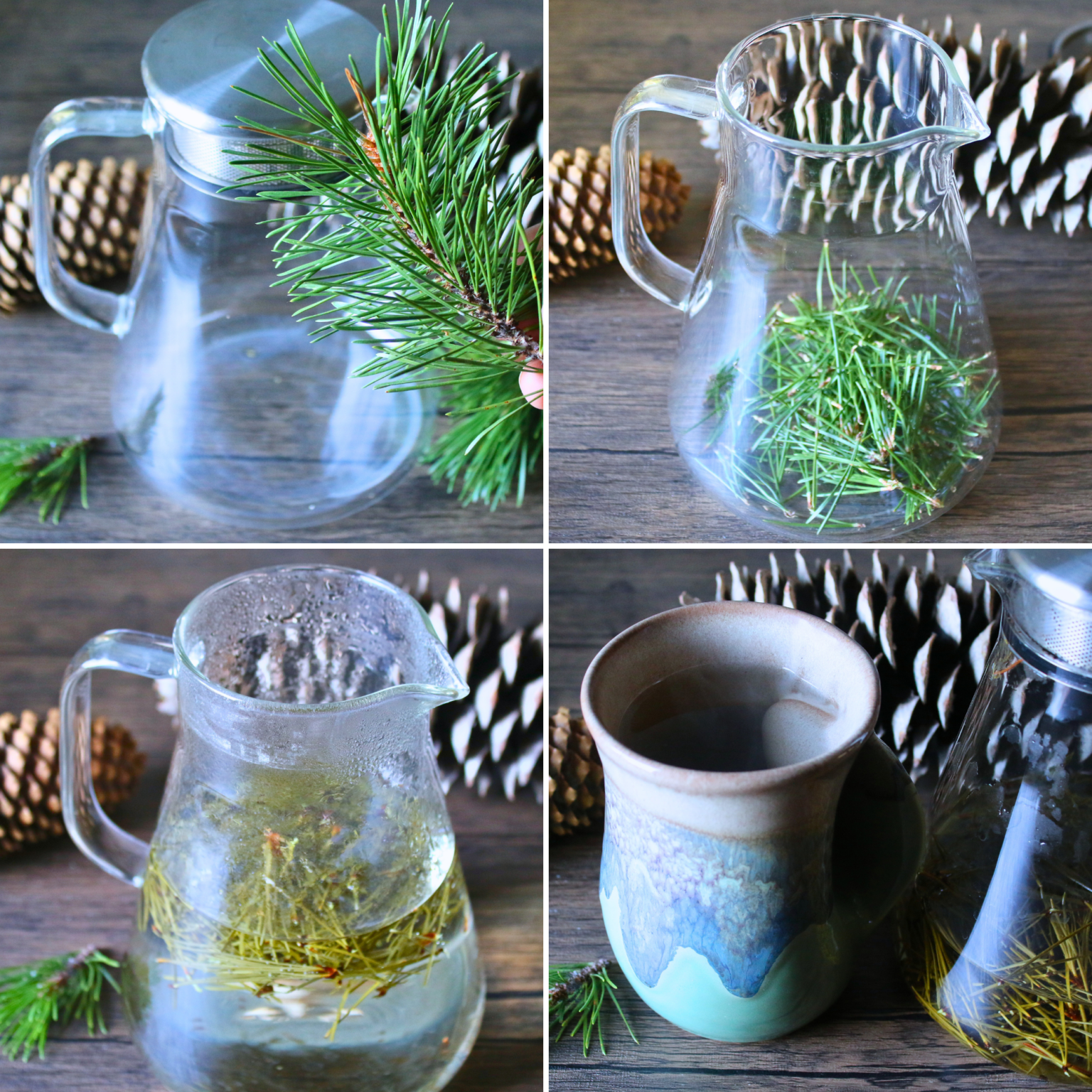 Pine Needle Tea Recipe - The Coconut Mama