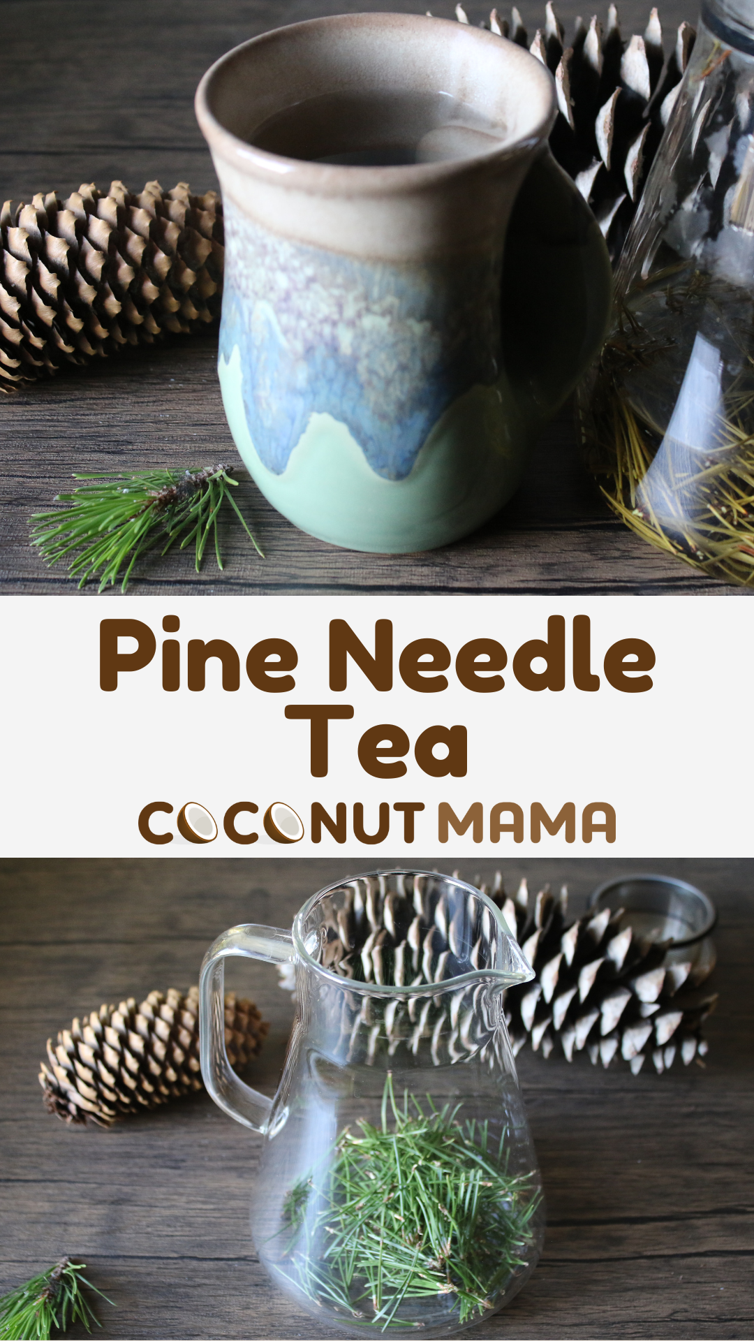 Pine Needle Tea Recipe - The Coconut Mama