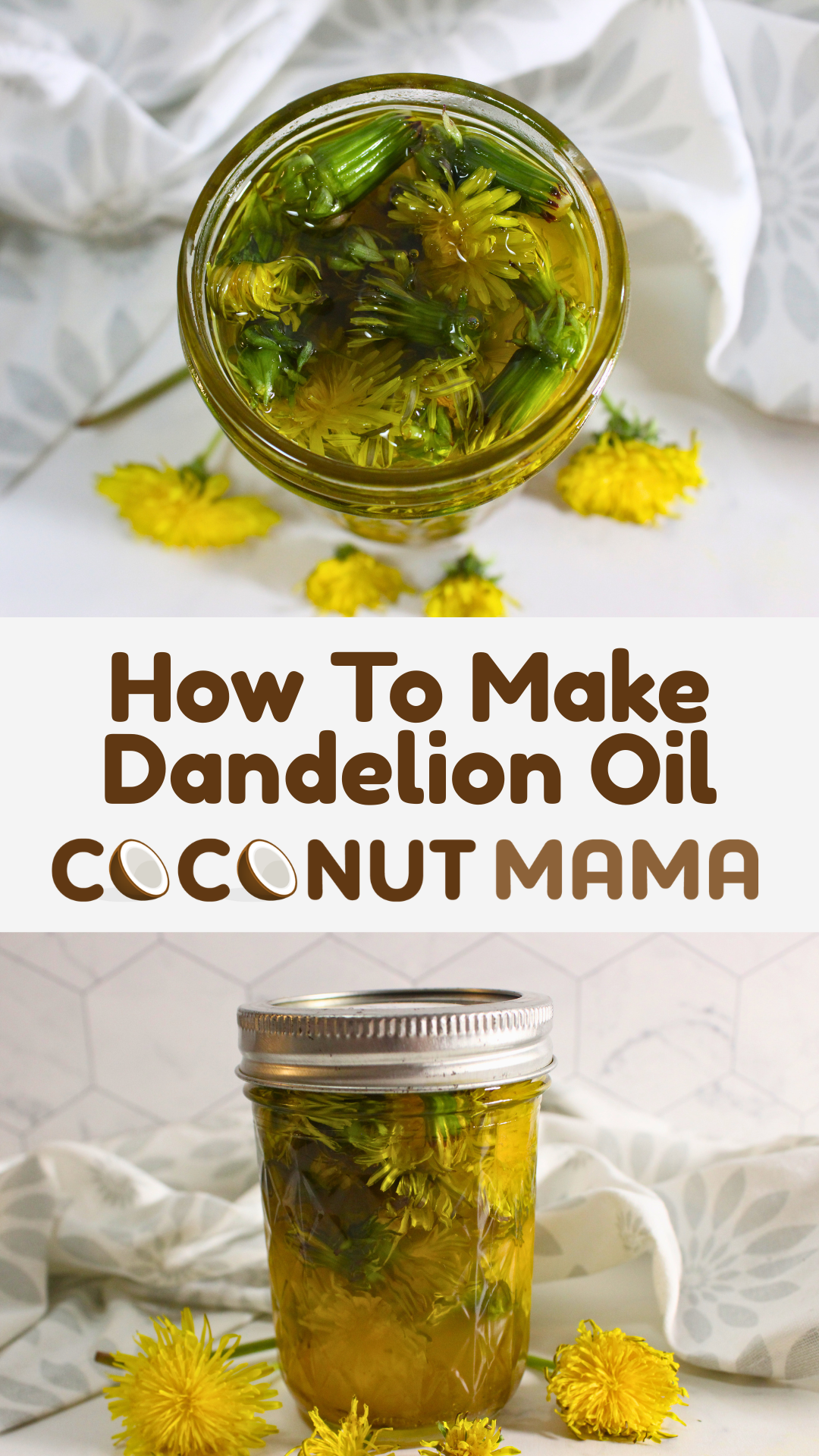 How To Make Dandelion Infused Oil - The Coconut Mama